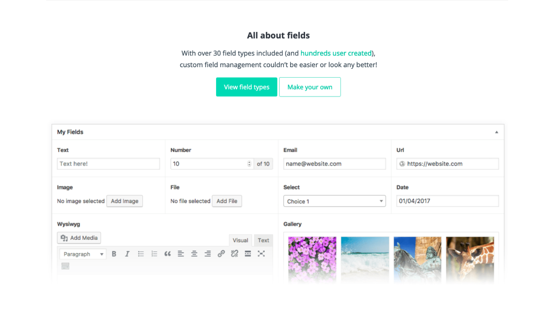 Website guide for Beyond Binary | Spark NZ