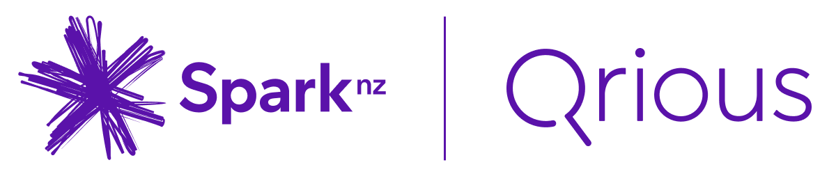 Microsoft Fabric Accelerator | Powered by Qrious | Spark NZ