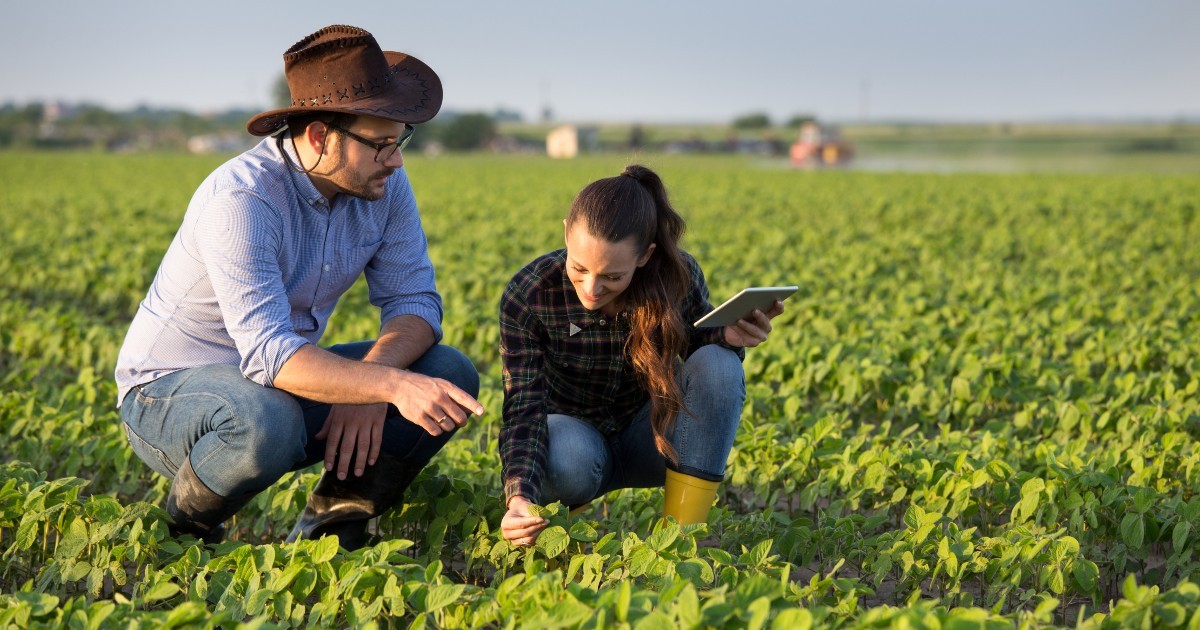 Levno customer story | Spark NZ